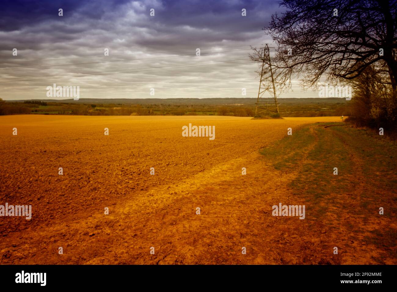 Kent (England) farmland landscape with electricity pylon along footpath ...