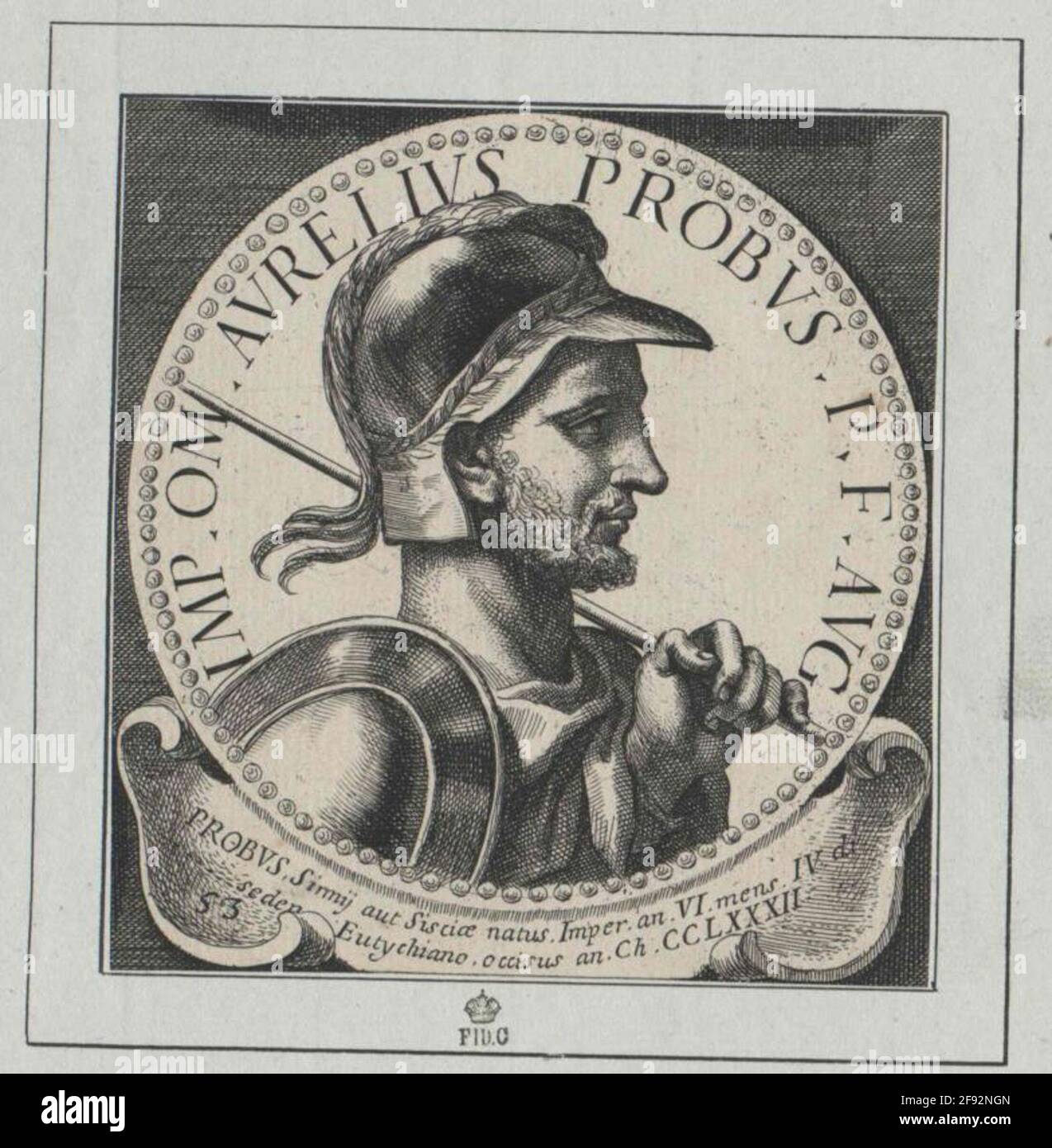 Emperor probus hi-res stock photography and images - Alamy