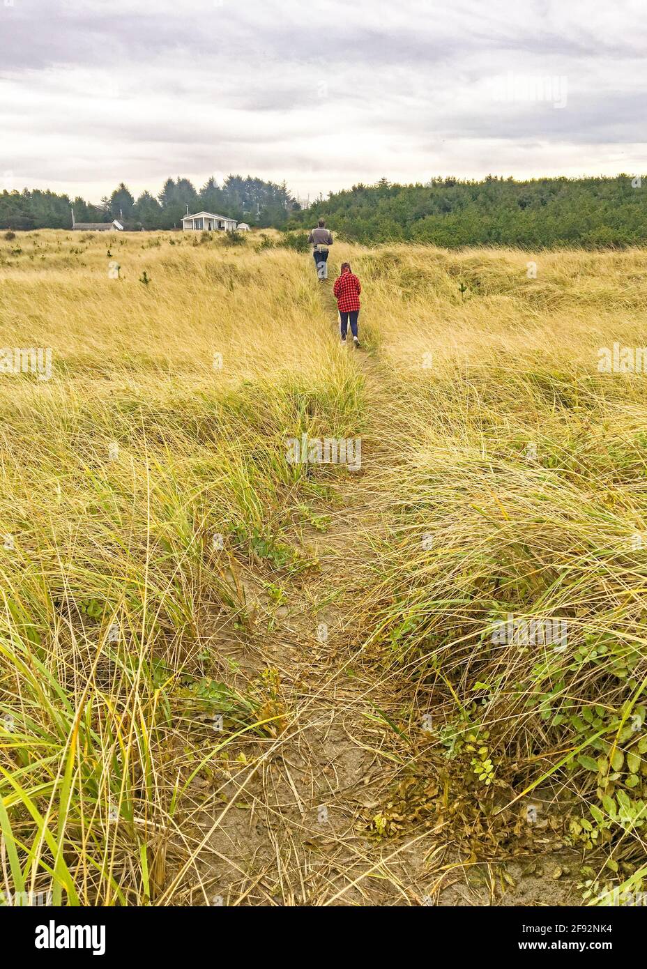 Walking a path in beach grass Stock Photo - Alamy