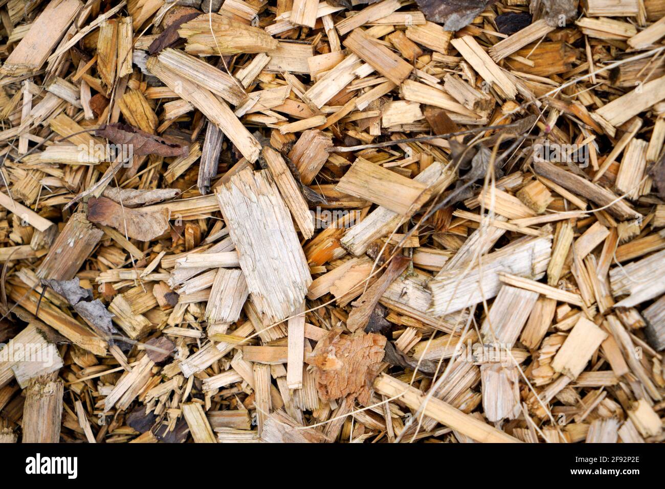 Natural wood with a fine structure, photographed outdoors in daylight ...