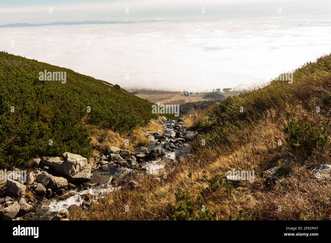 Beautiful view of mountain stream in summer Stock Photo - Alamy