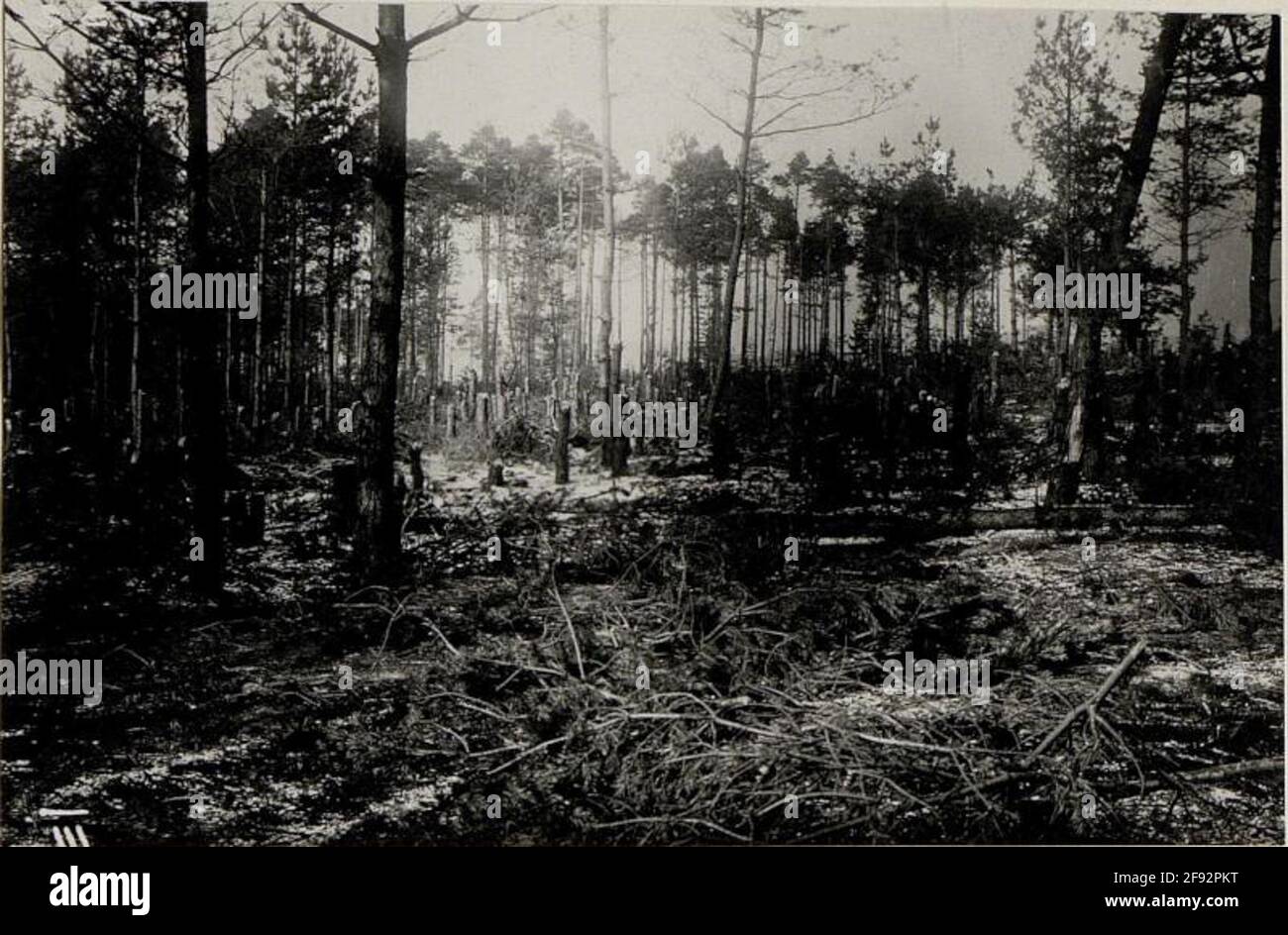 Battlefield surroundings hi-res stock photography and images - Alamy