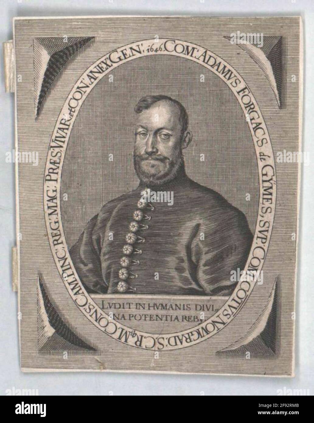 Adam widemann hi-res stock photography and images - Alamy