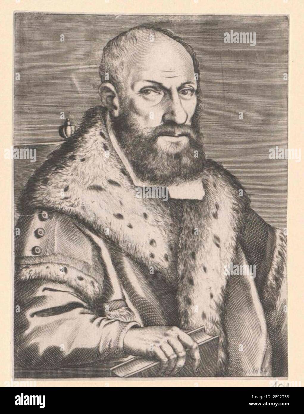 Falloppio hi-res stock photography and images - Alamy