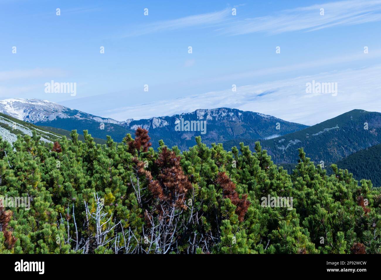 Spiky ridge hi-res stock photography and images - Alamy