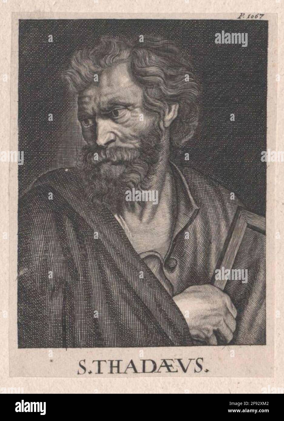 Thaddus hi-res stock photography and images - Alamy