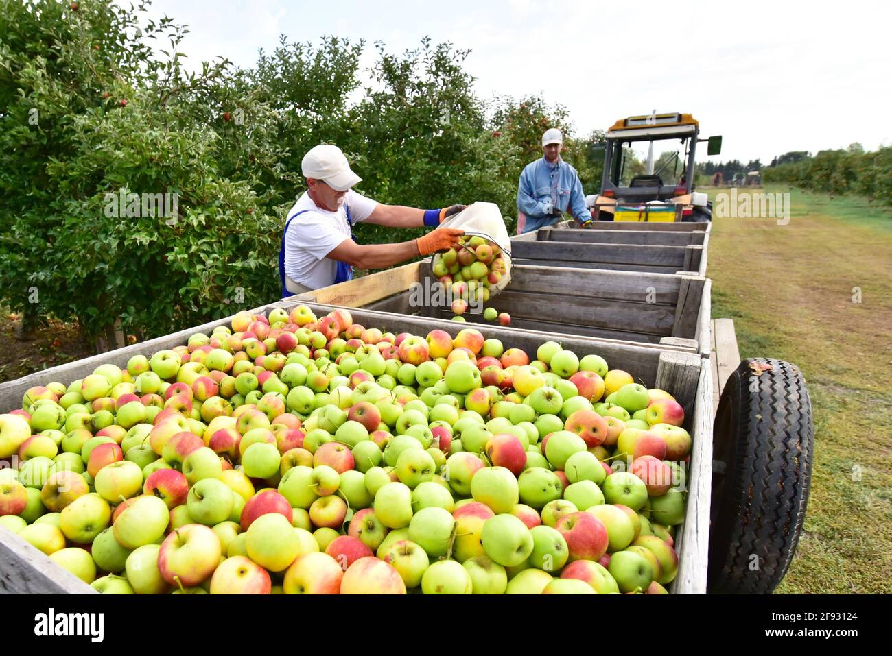Industrial plantation hi-res stock photography and images - Alamy