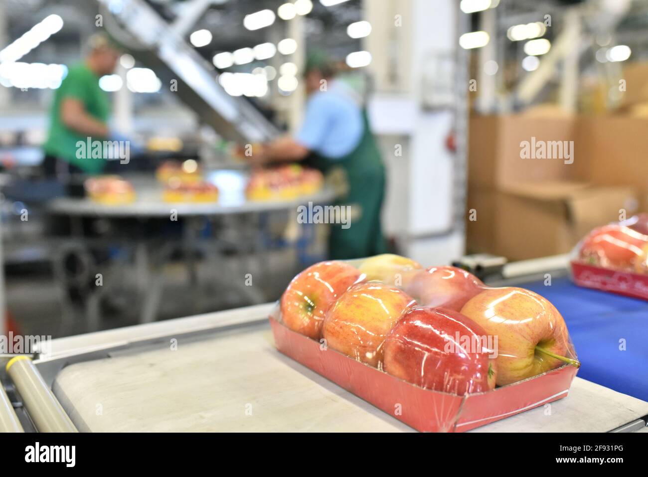 food factory: assembly line with apples and workers Stock Photo - Alamy