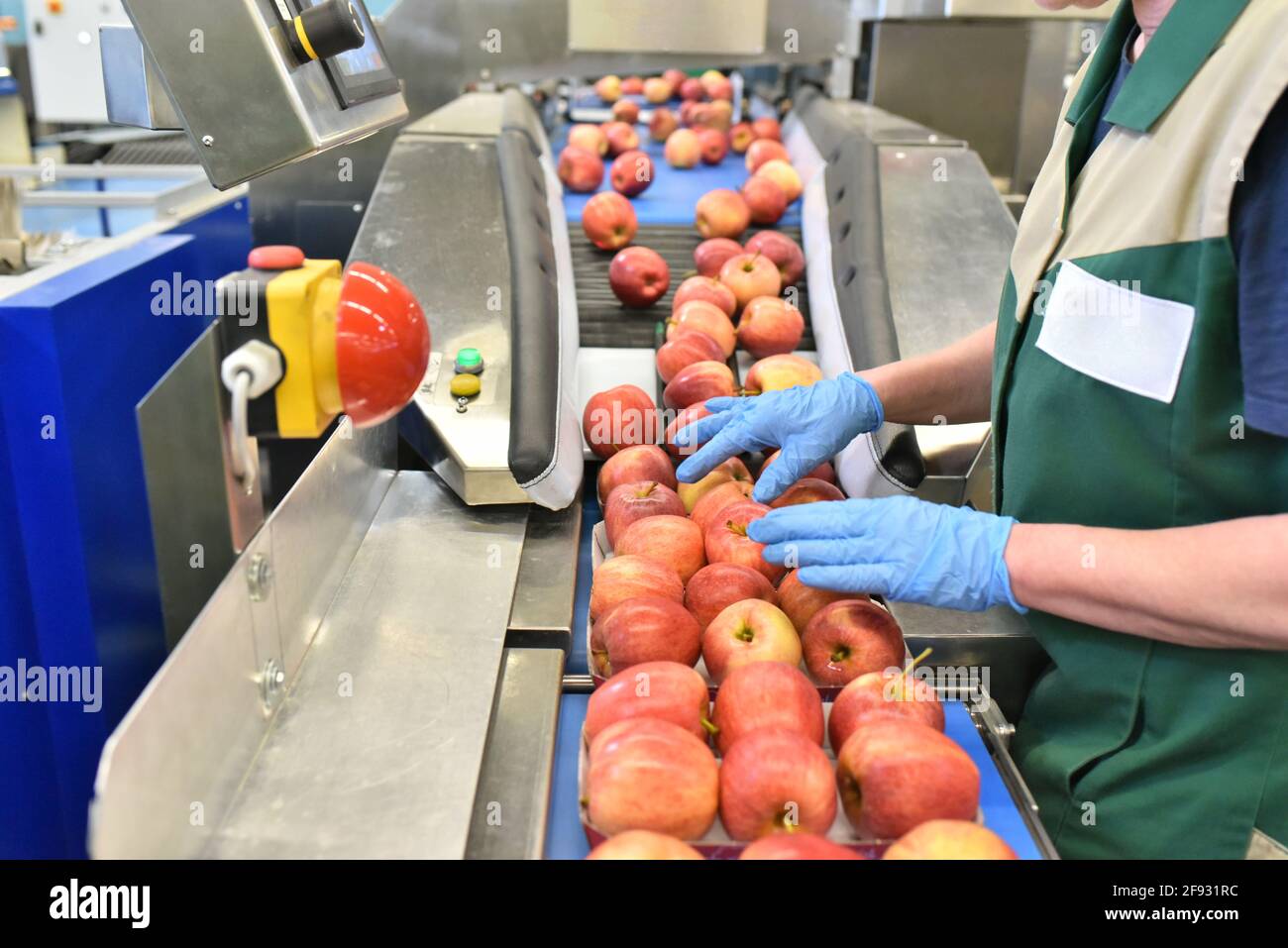 food factory: assembly line with apples and workers Stock Photo - Alamy
