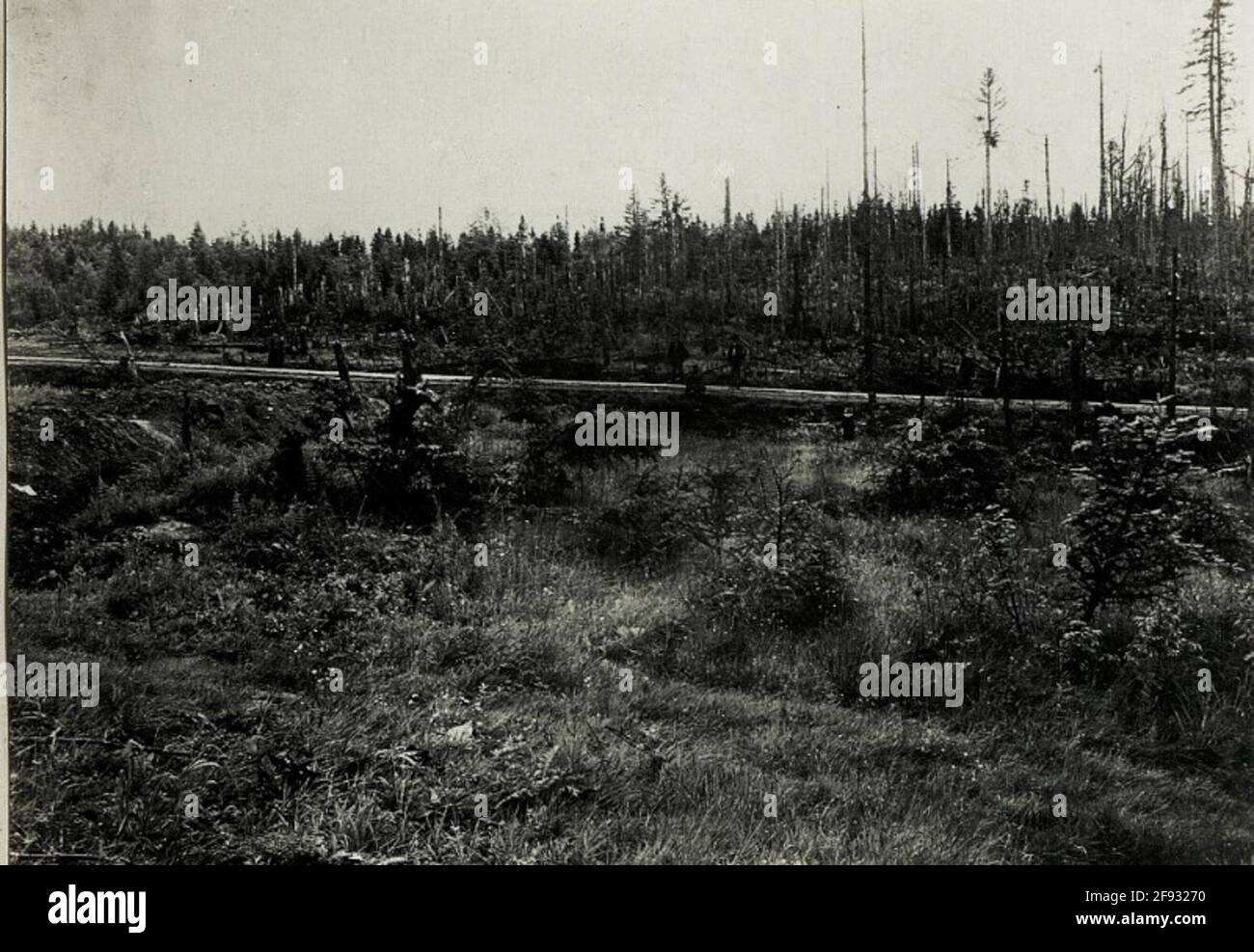 Wyszkow hi-res stock photography and images - Alamy