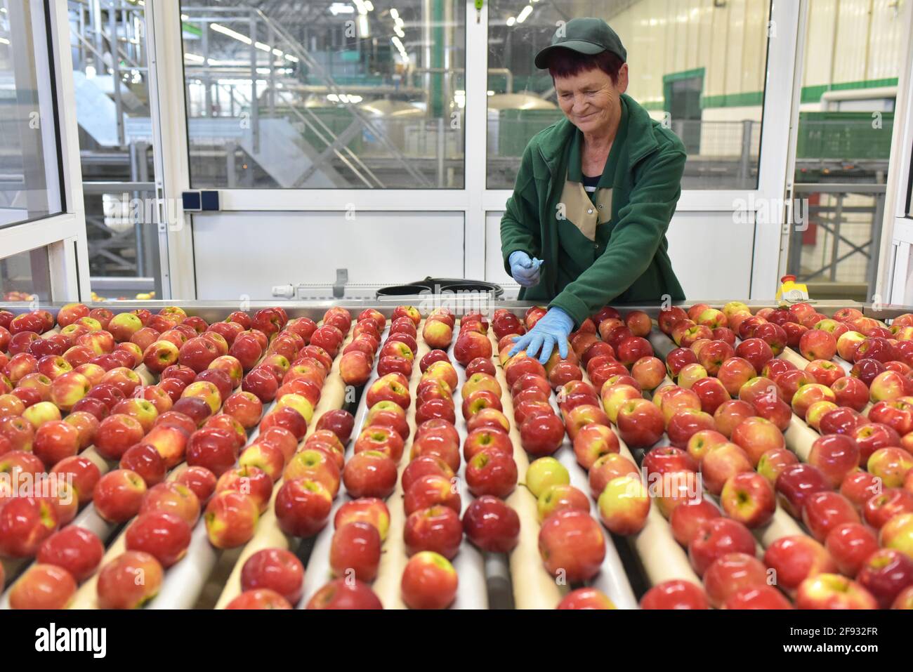 food factory: assembly line with apples and workers Stock Photo - Alamy