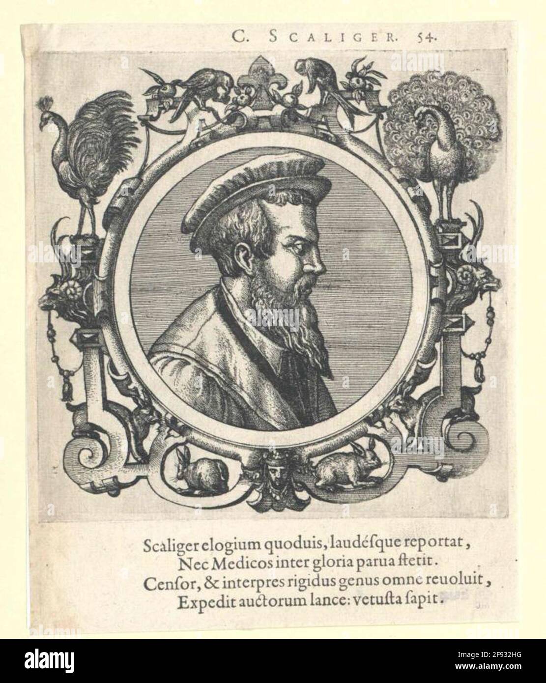 Julius caesar scaliger hi-res stock photography and images - Alamy