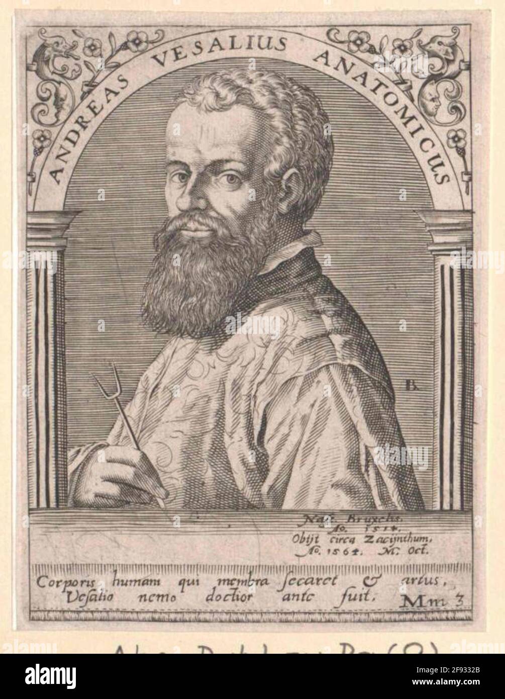 Vesalius, Andreas Stock Photo - Alamy