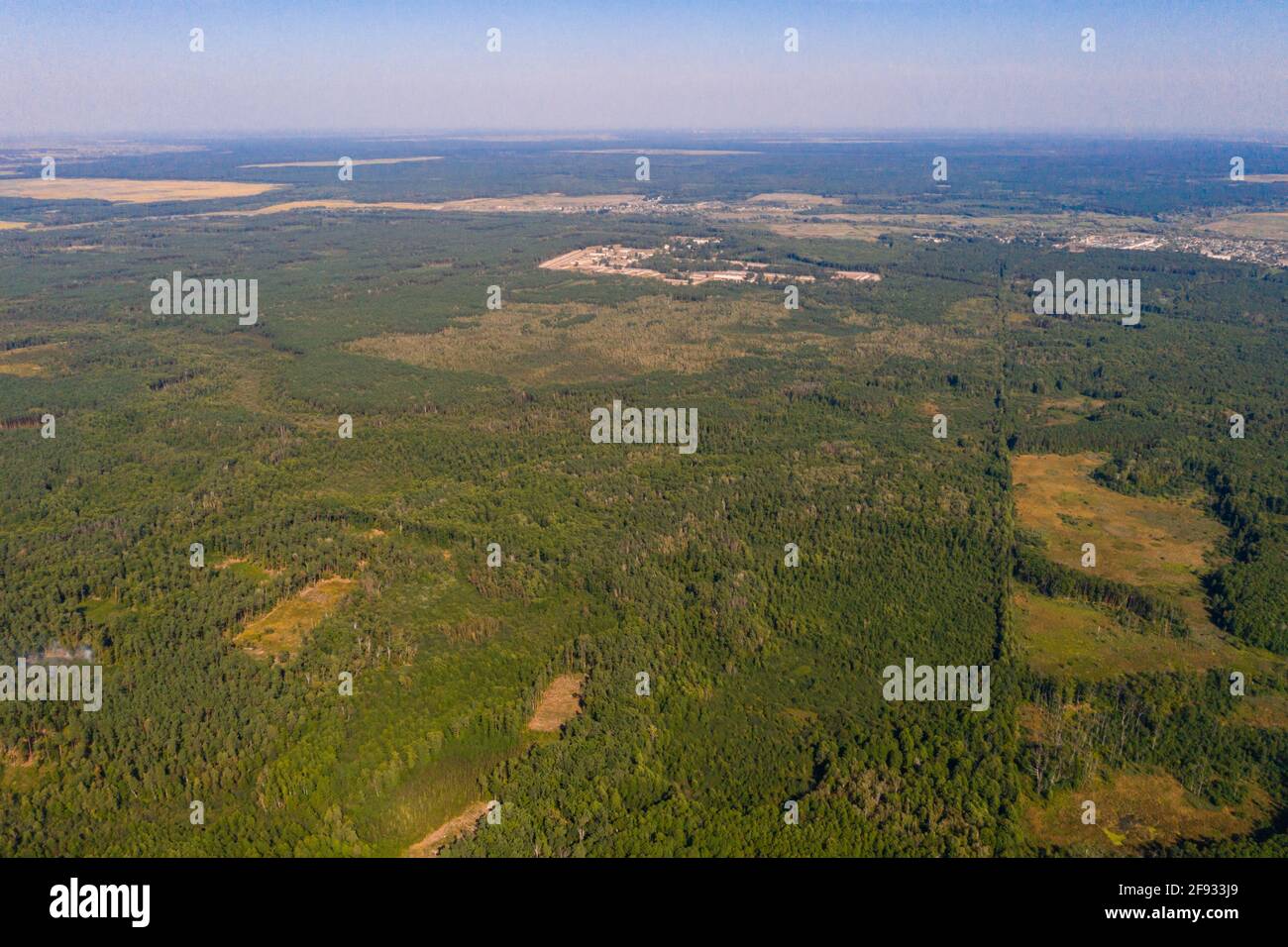 Deforestation, large-scale deforestation, destruction of the ...