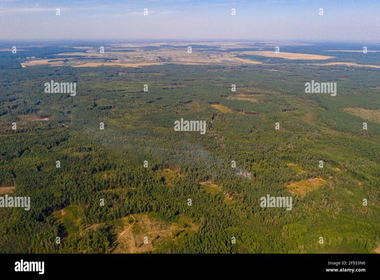 Large scale deforestation hi-res stock photography and images - Alamy