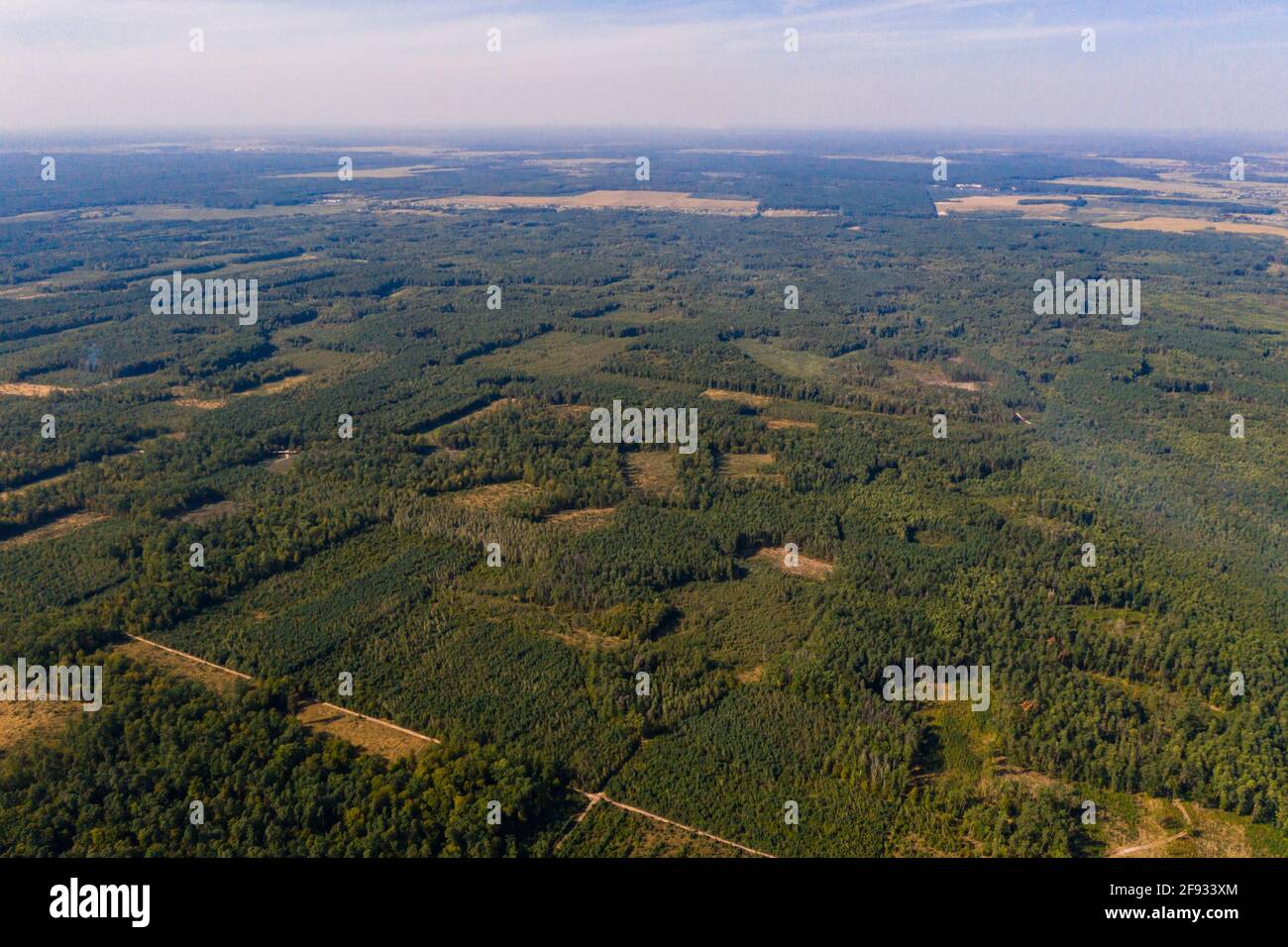 Deforestation, large-scale deforestation, destruction of the ...