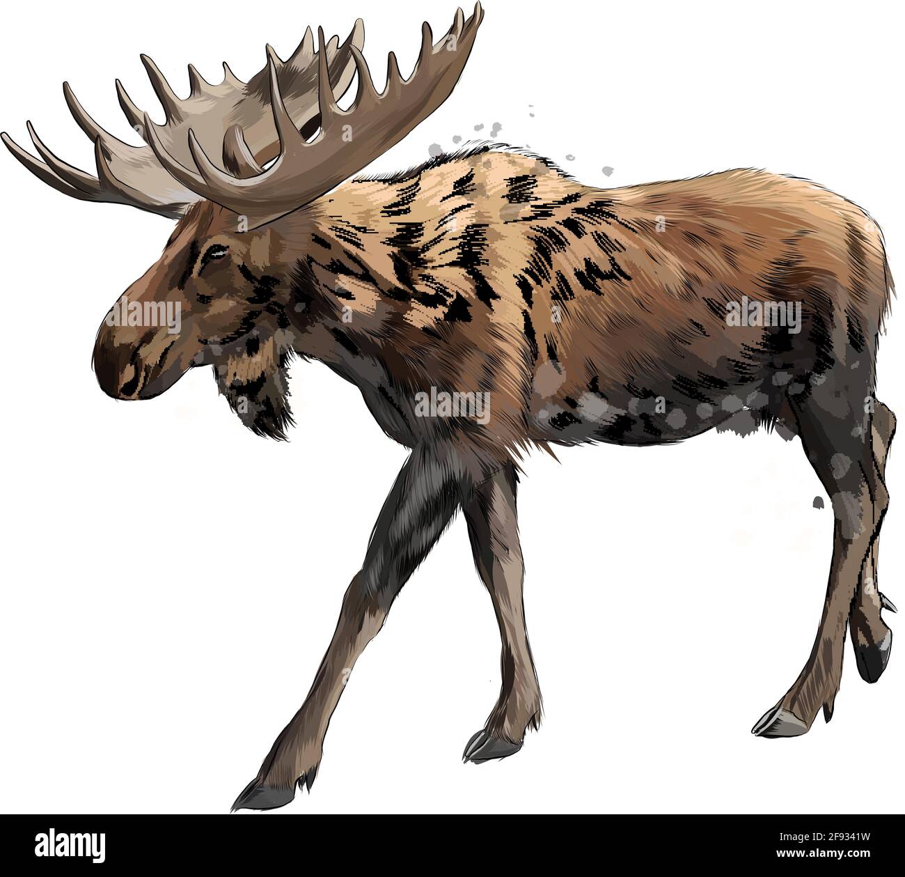 Realistic Cartoon Moose