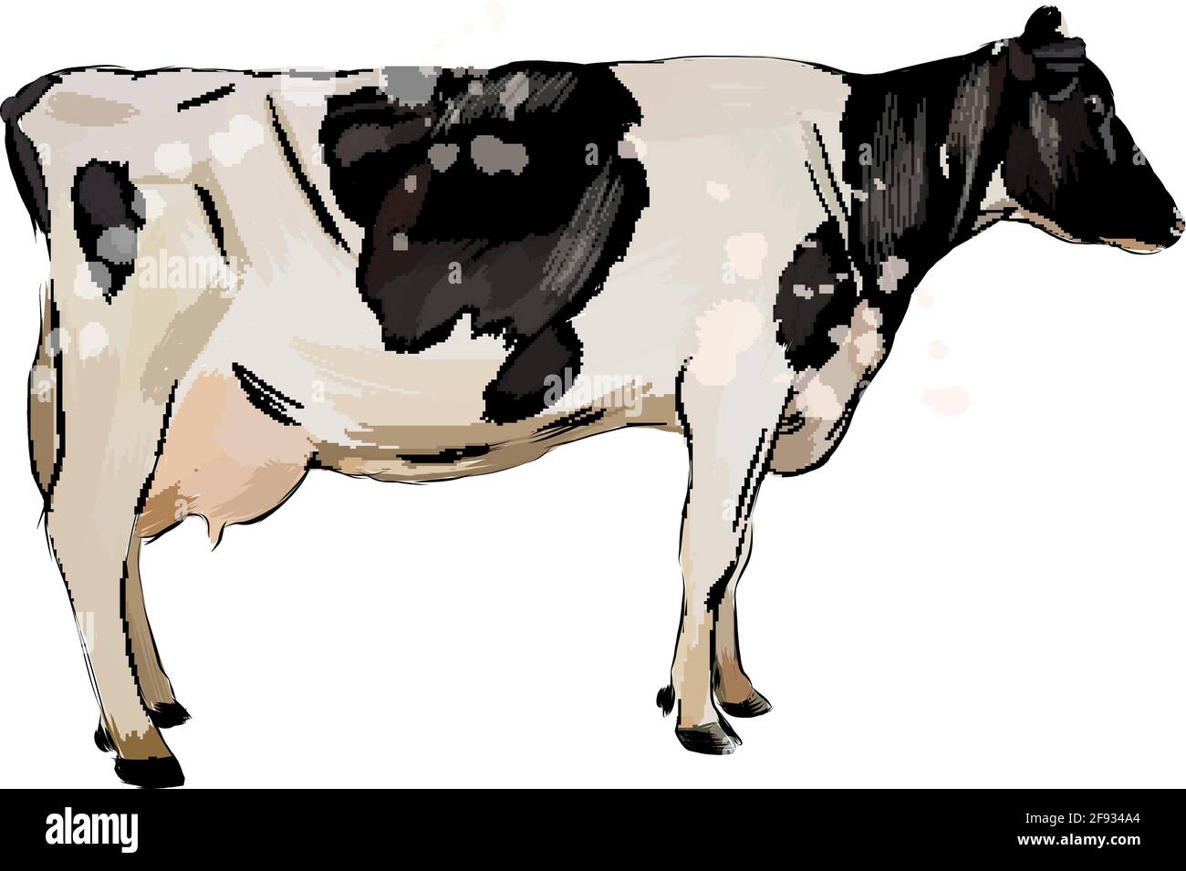 How To Draw A Realistic Cow