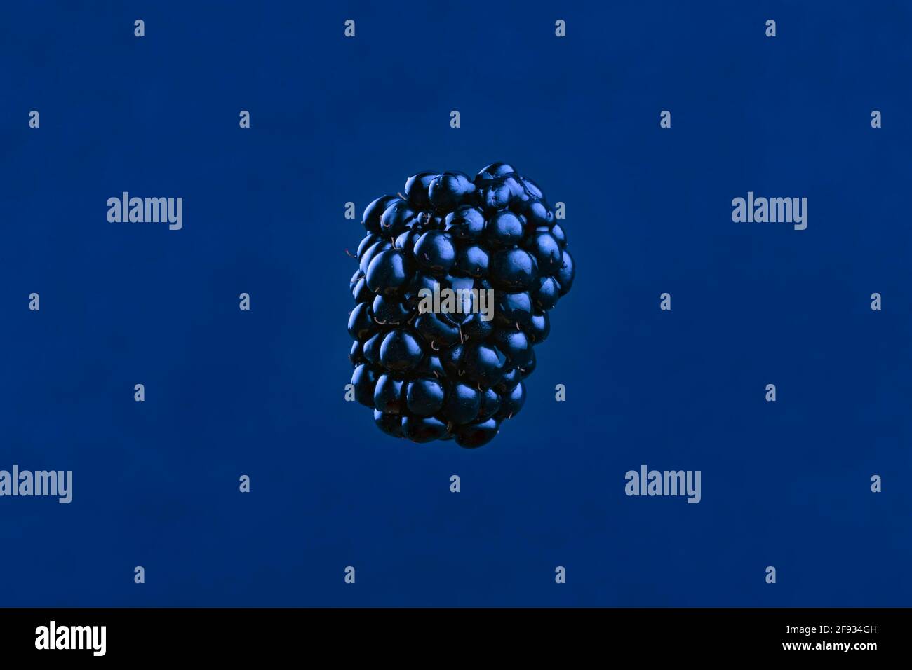Macro photo of blackberry floating on a bluish background and shot ...