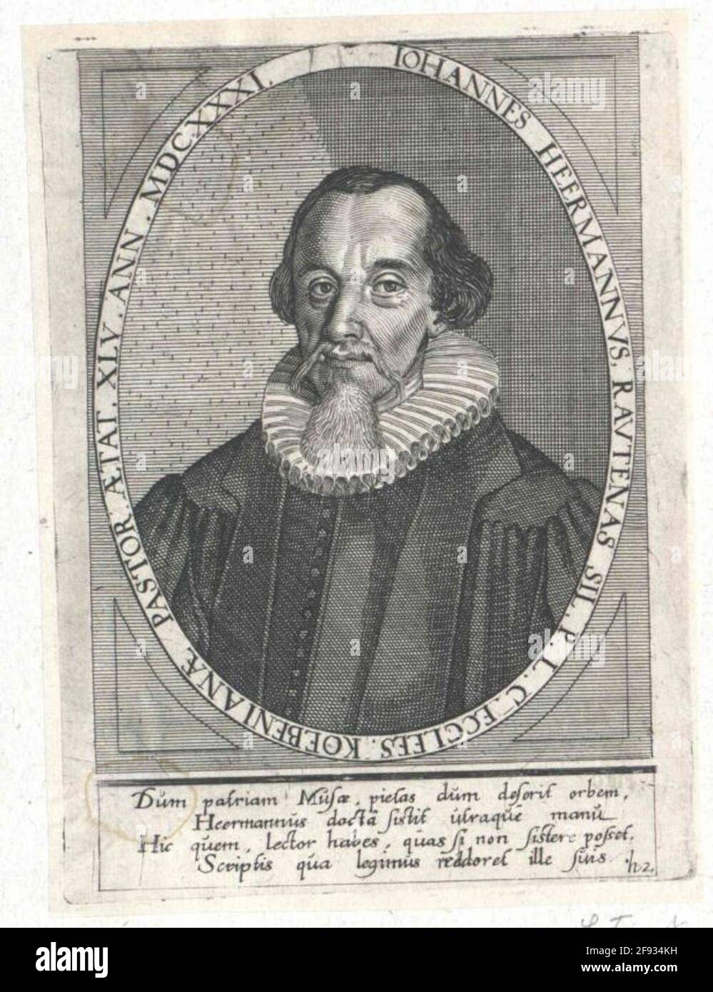 Heermann hi-res stock photography and images - Alamy