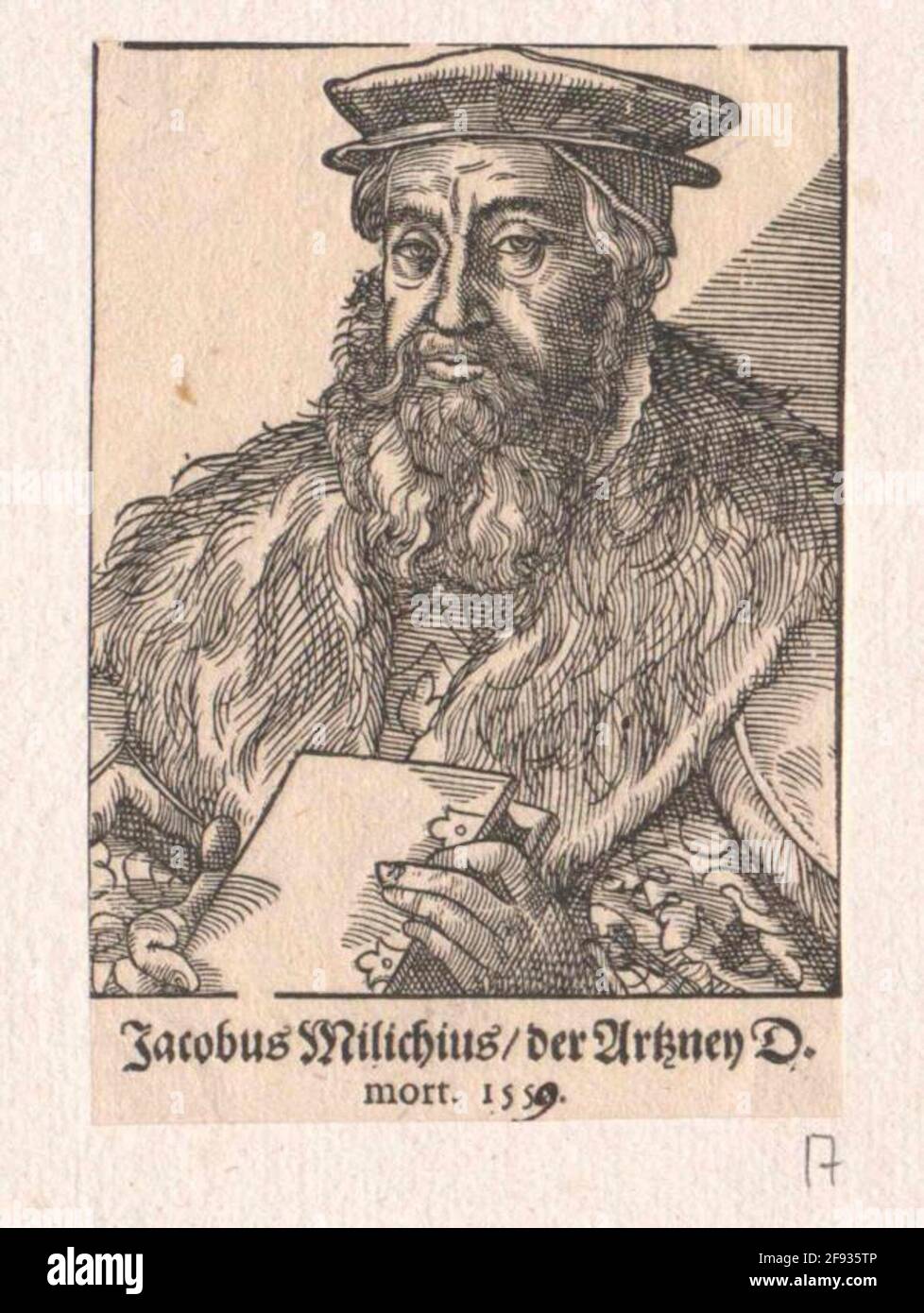 Jacob milich hi-res stock photography and images - Alamy