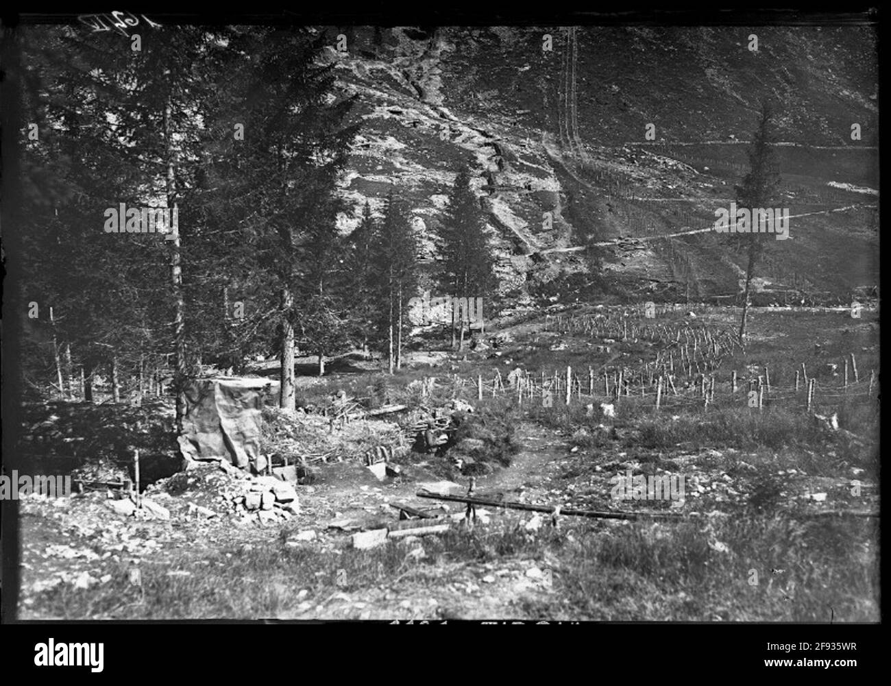 Identification section hi-res stock photography and images - Alamy