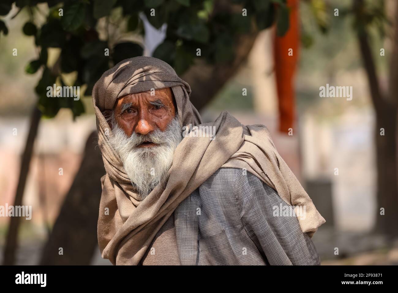 HARIDWAR, INDIA, FEBRUARY 2021 : Portrait of Indian Sadhu in ...