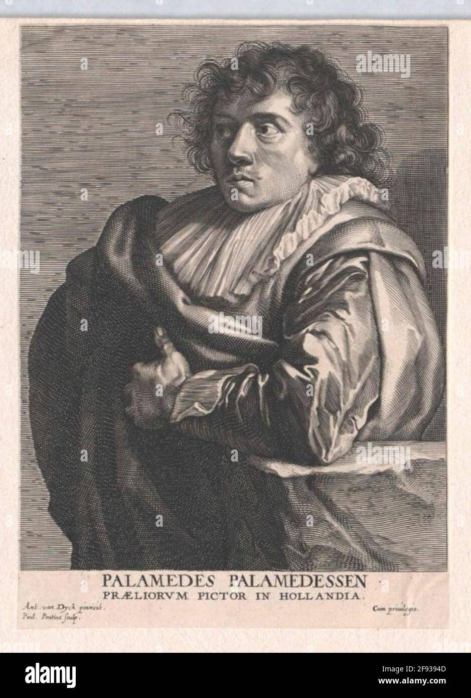 Palamedes palamedesz hi-res stock photography and images - Alamy