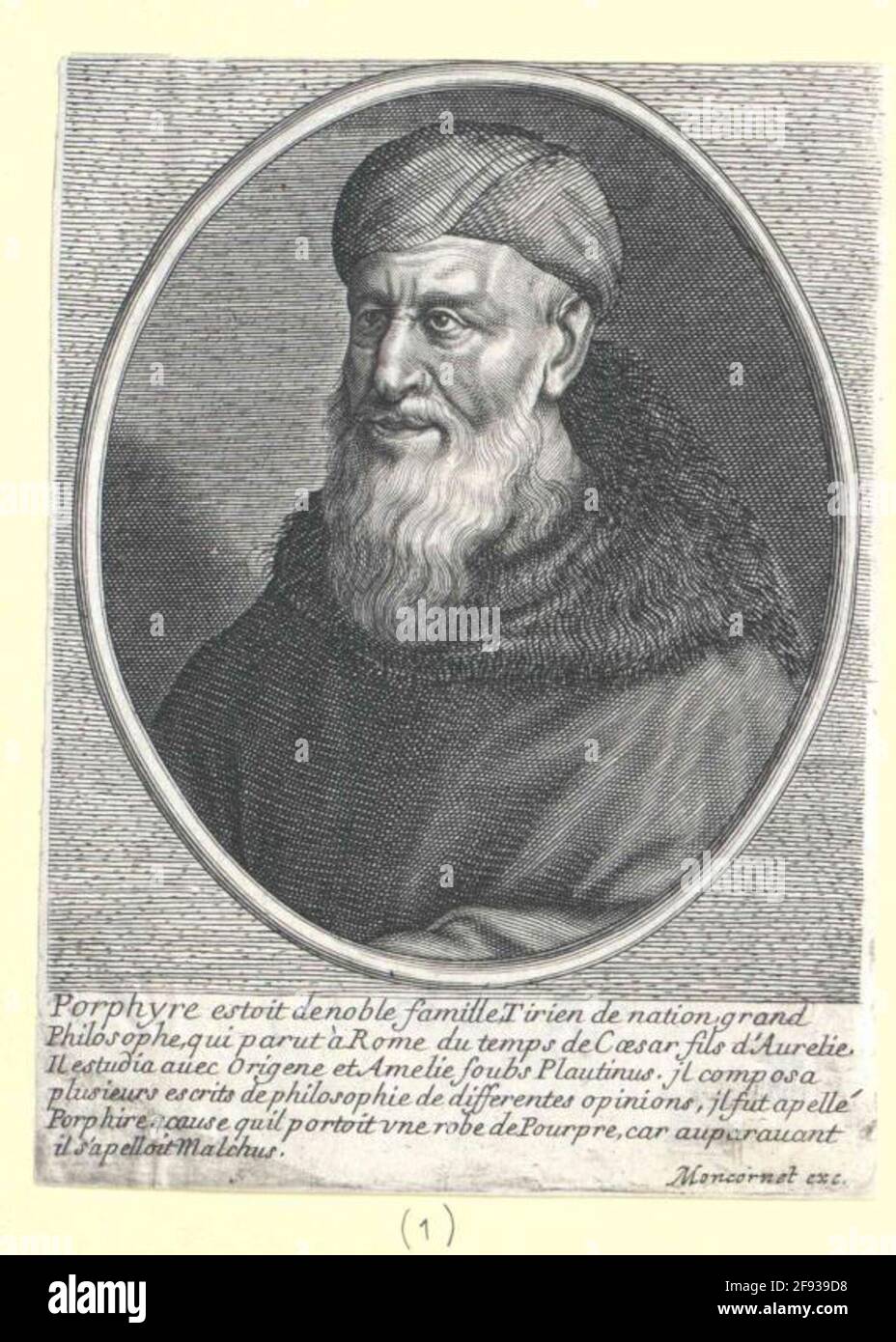 Porphyrius hi-res stock photography and images - Alamy