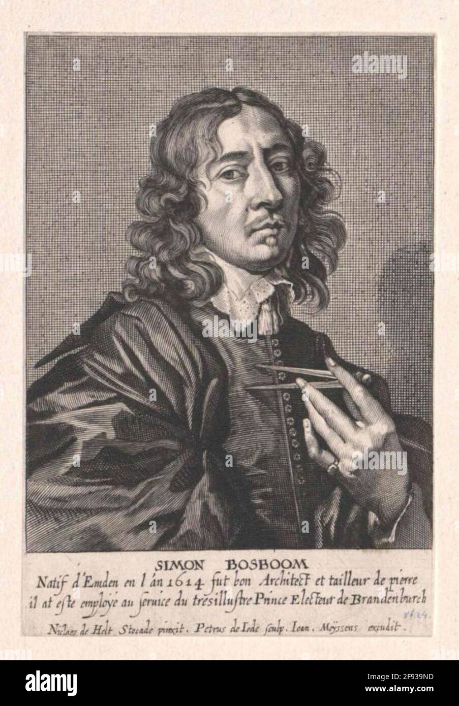 Forest tree, Simon Stock Photo - Alamy