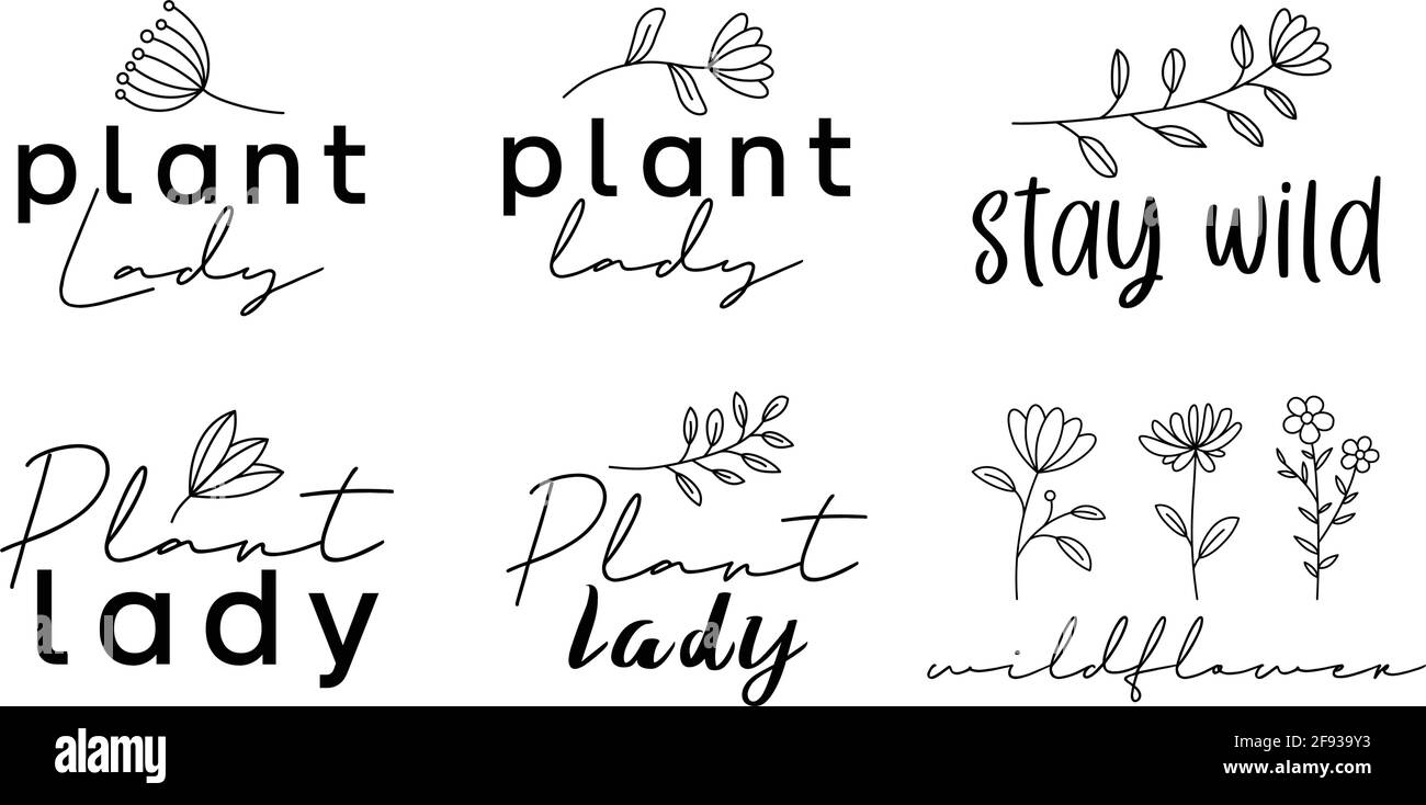 Calligraphy monochrome drawing hi-res stock photography and images - Alamy