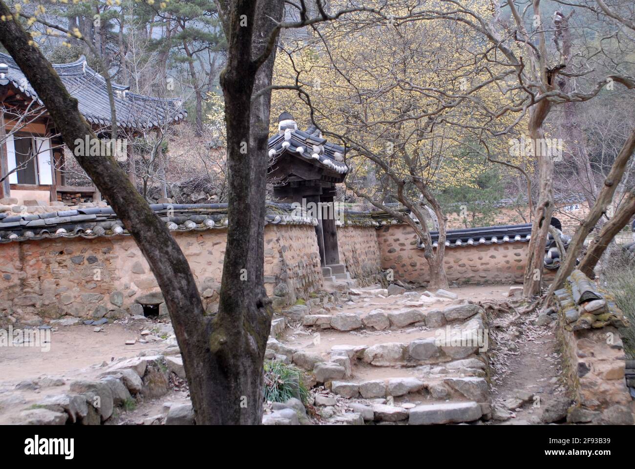 The beautiful garden of the old scholar Stock Photo - Alamy