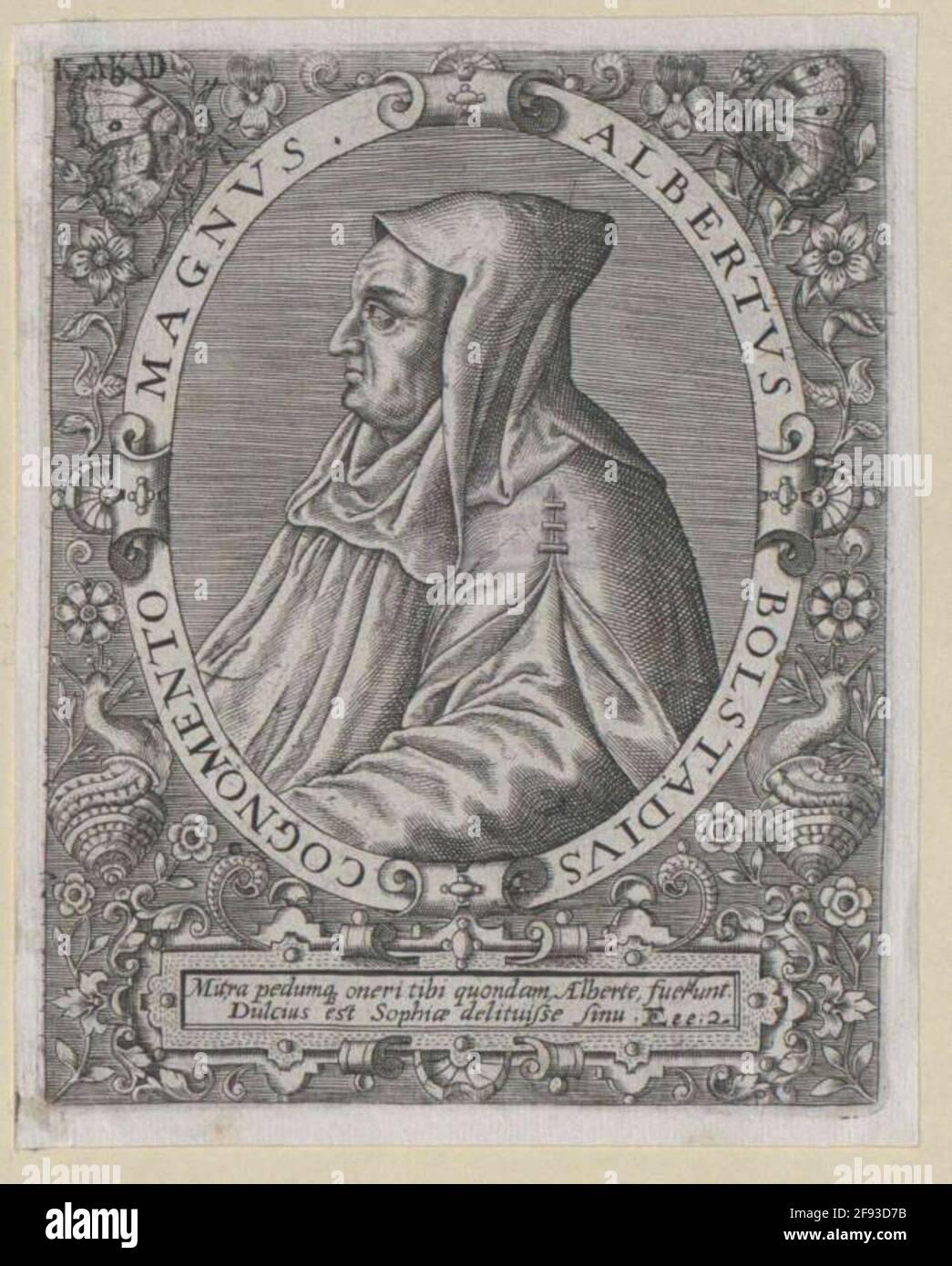 Albertus Magnus, Heiliger Stecher: Bry, Theodor Dest Morecher: BOISSARD ...