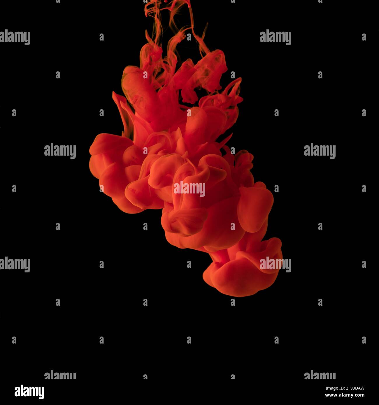 Explosion of colored, fluid and neoned liquids on black studio ...