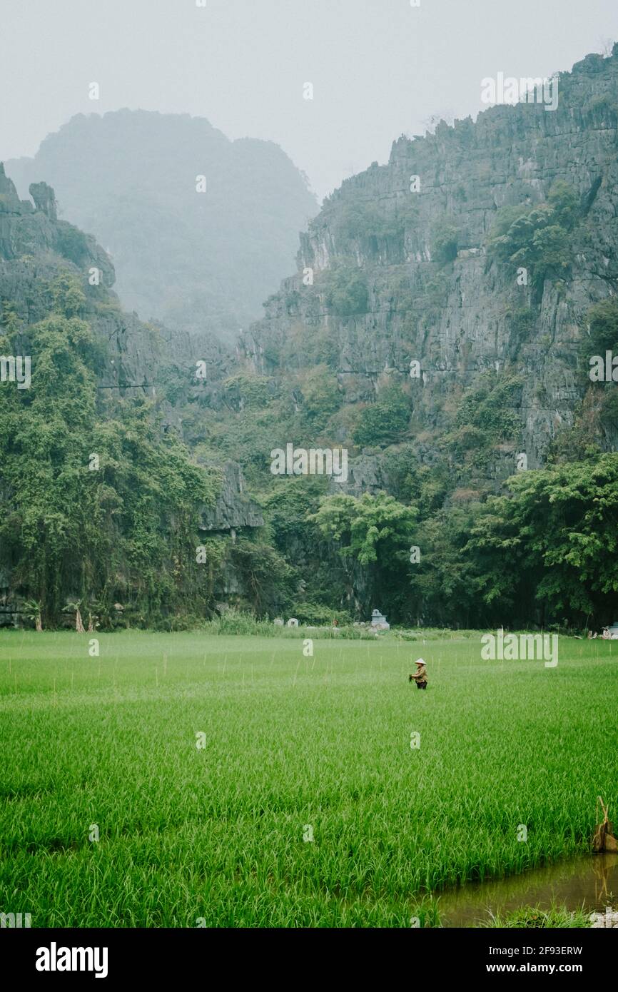 Vietman hi-res stock photography and images - Alamy