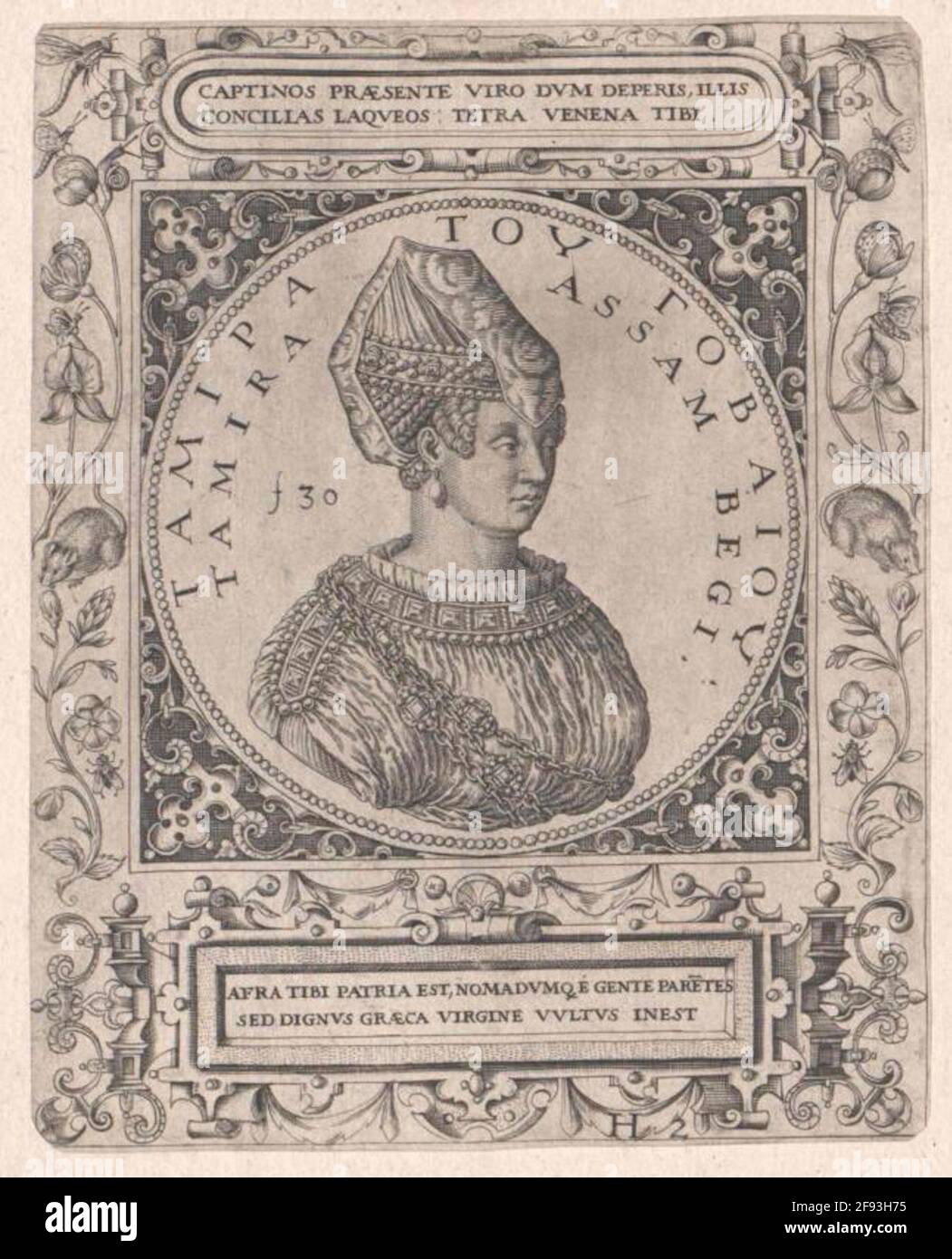 Tamira hi-res stock photography and images - Alamy