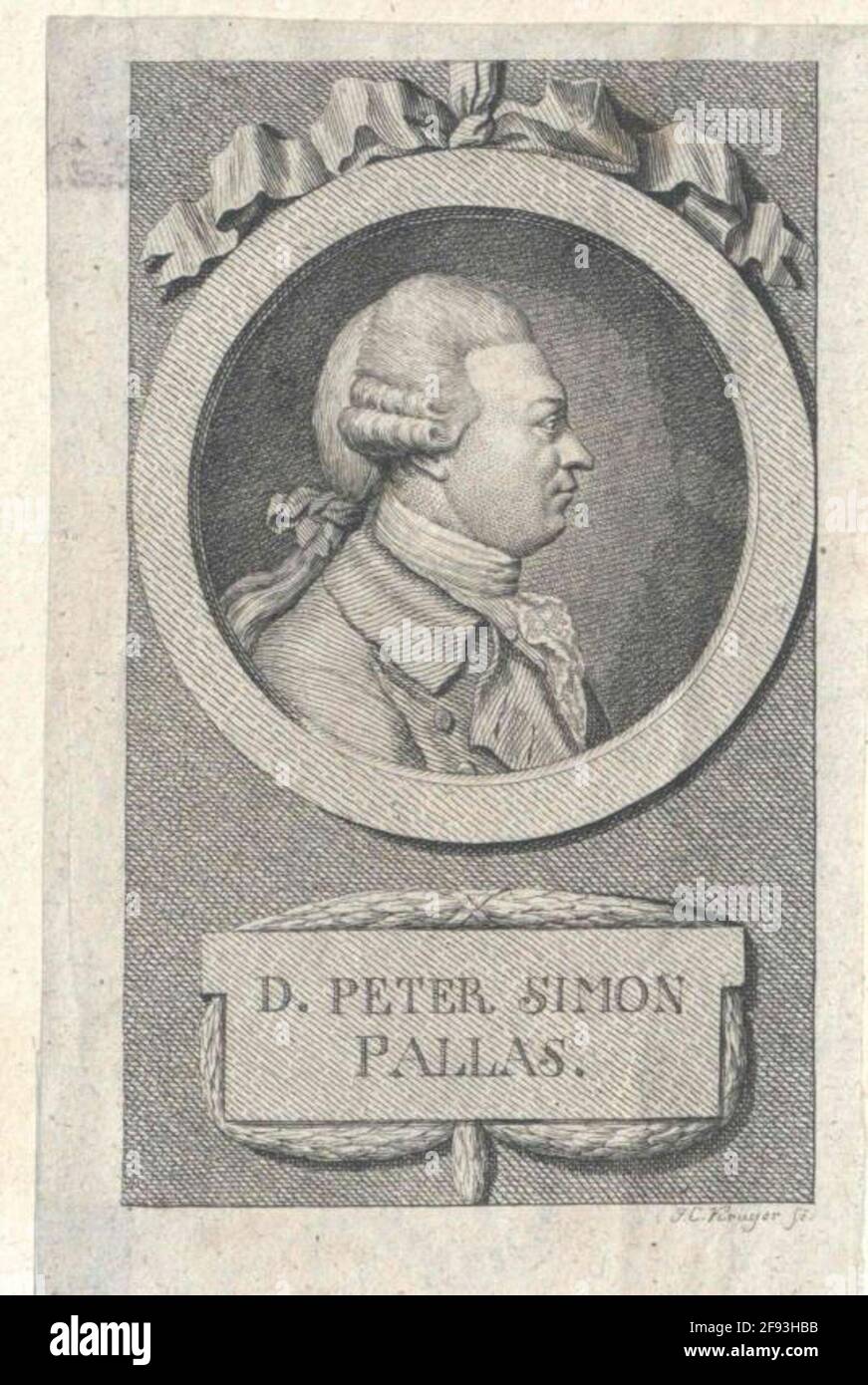 Pallas, Peter Simon Eraser: Kruger, Johann Conrad Stock Photo - Alamy