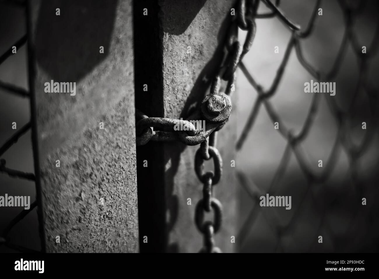 A black-and-white image of a rusty old chain that closes an old gate ...