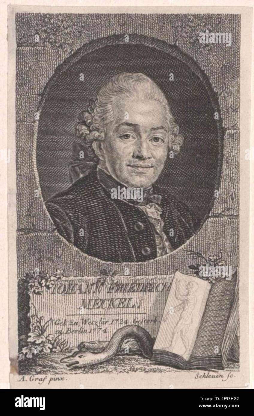 Johann meckel hi-res stock photography and images - Alamy