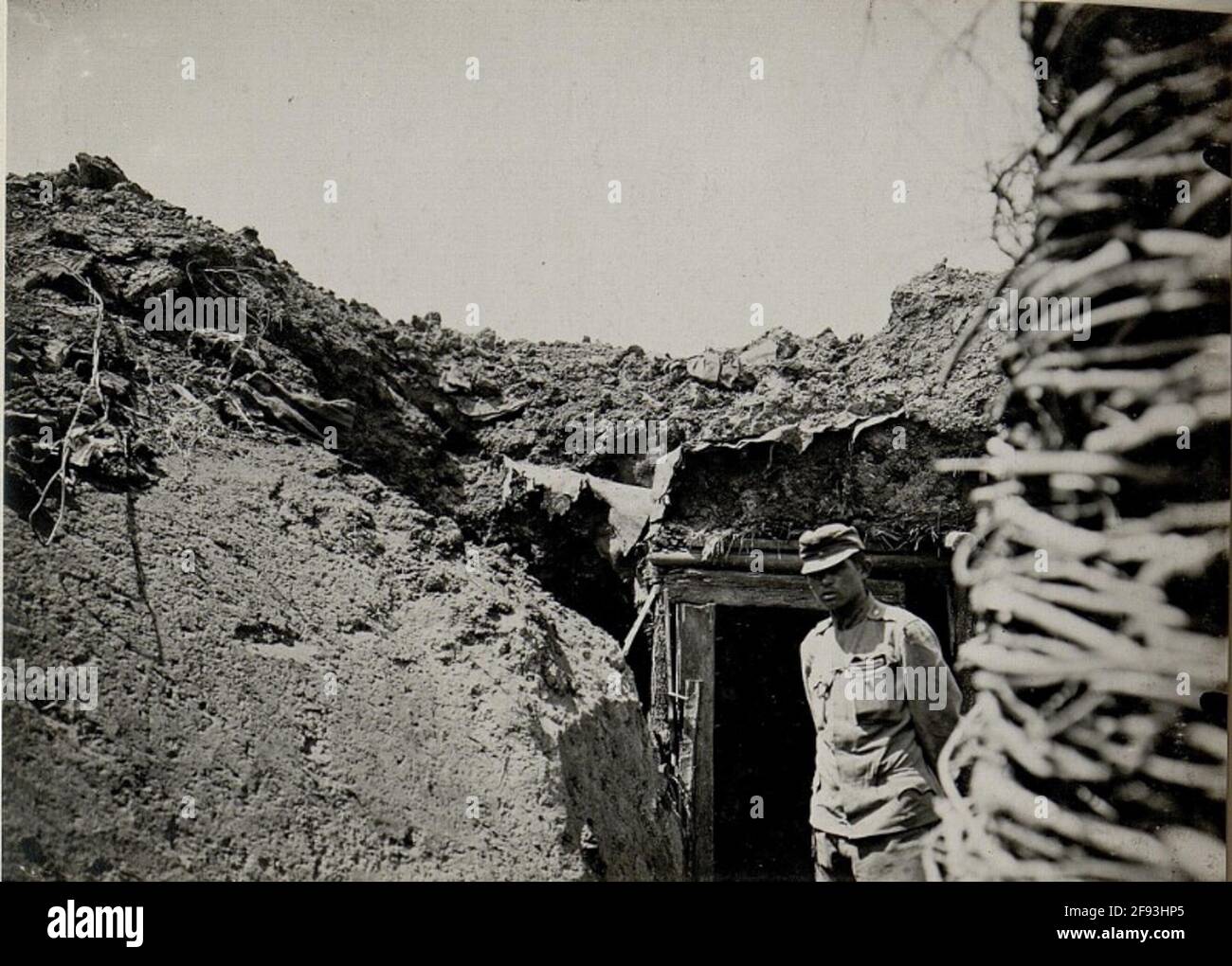 369 infantry hi-res stock photography and images - Alamy