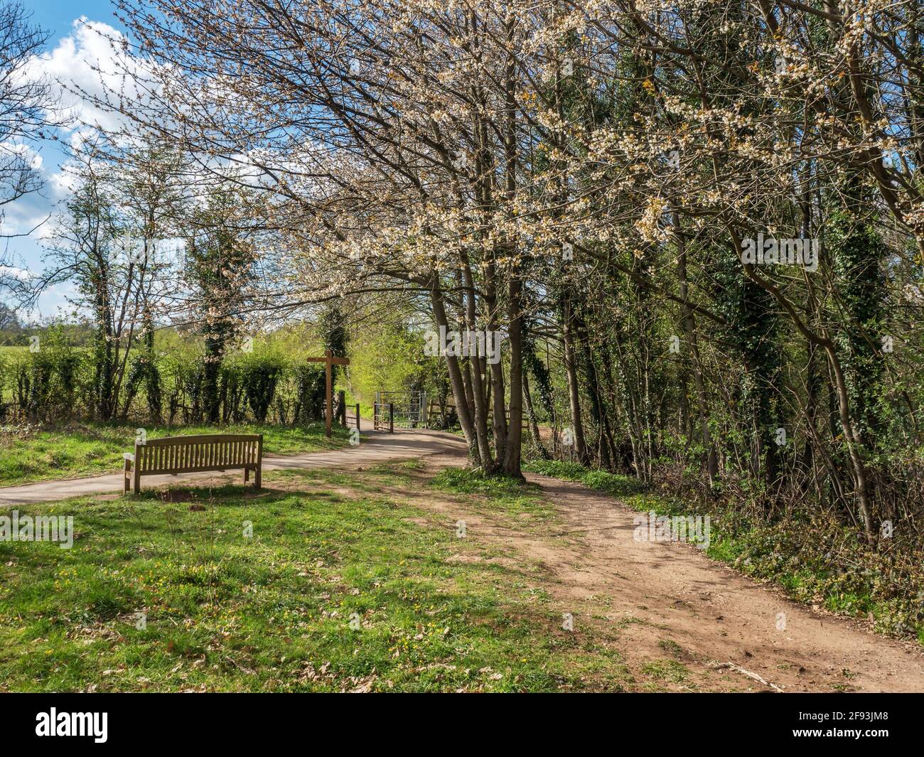 Spring blossom at the junction of the Beryl Burton Cycleway Harrogate ...