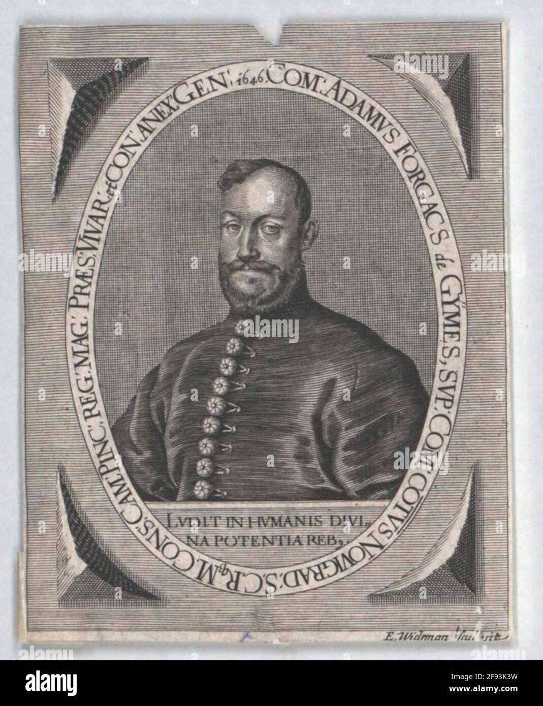 Forgách von Ghymes und Gács, Adam Graf Stecher: Widemann, Elias Stock ...