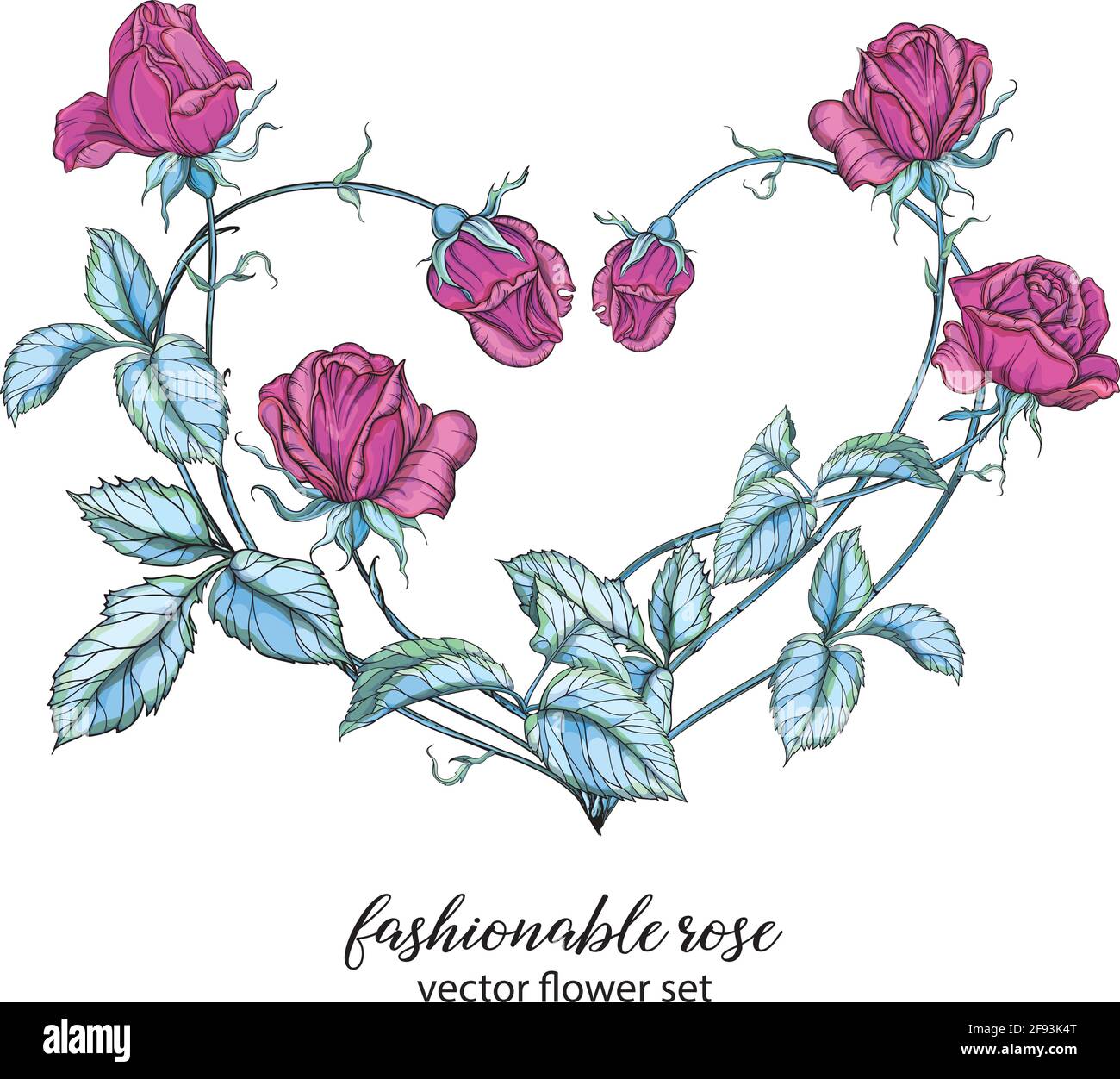 Heart of rose flowers. Pink rose. Vector flower arrangement Stock ...