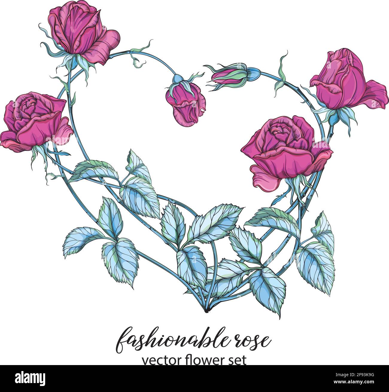 Heart of rose flowers. Pink rose. Vector flower arrangement Stock ...