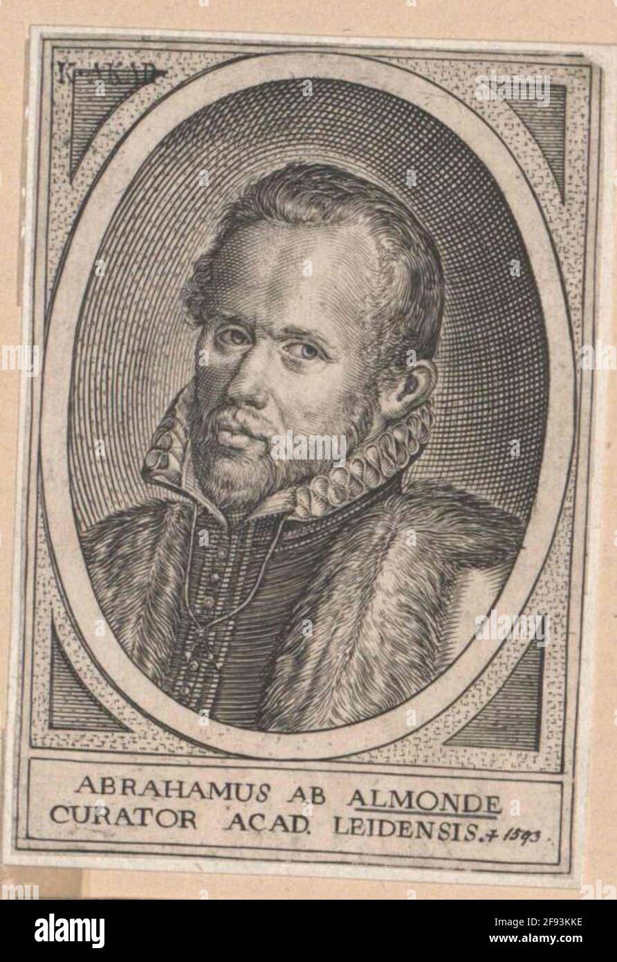 Almonde hi-res stock photography and images - Alamy