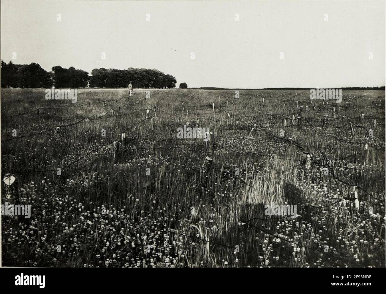 Prepared Russian position at Stryj. (Low wire threation with a view to ...