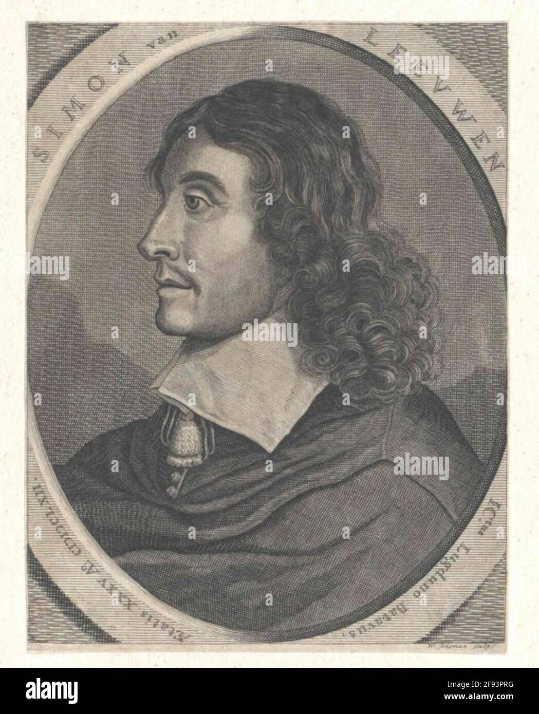 Lions, Simon Van Stock Photo - Alamy