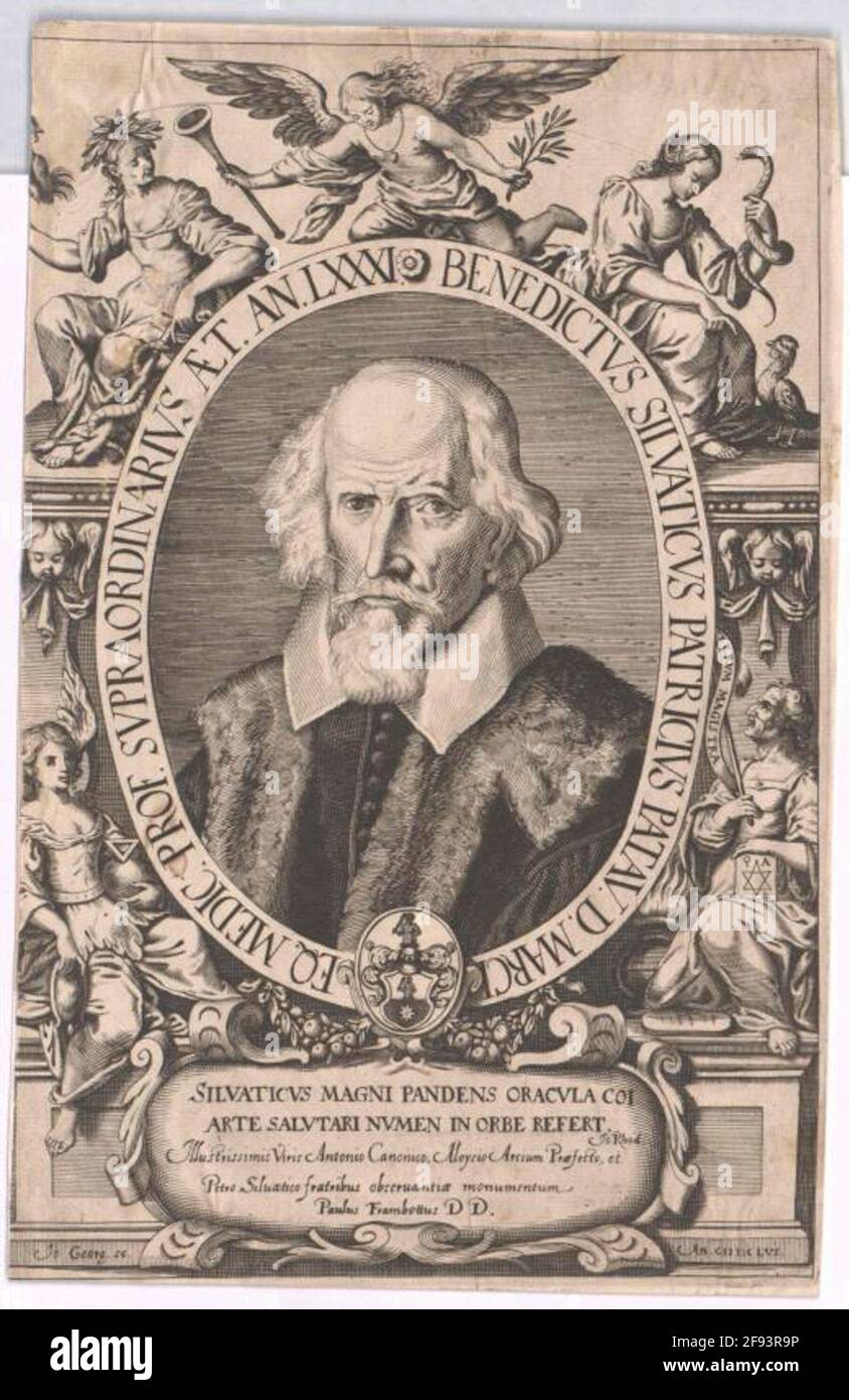 Silvaticus hi-res stock photography and images - Alamy