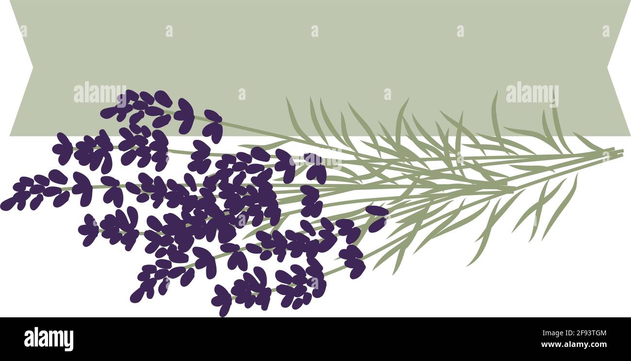 lavender vector frame Stock Vector Image & Art - Alamy