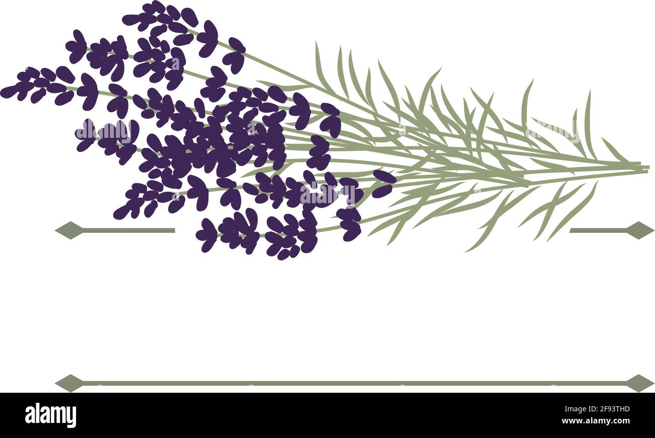 lavender vector frame Stock Vector Image & Art - Alamy
